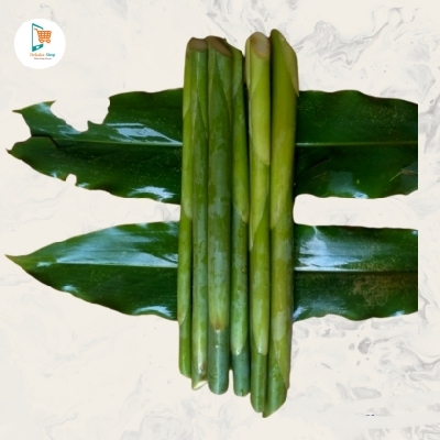 Kecombrang Murah Di Jawa Timur, Distributor, suplayer, budidaya